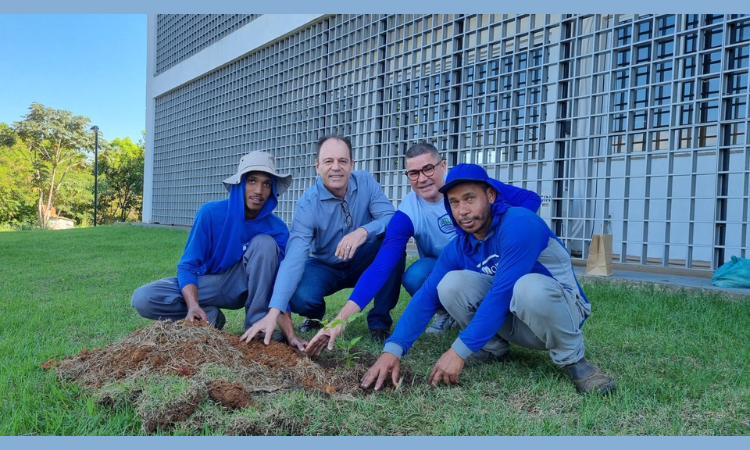 Reitor faz plantio de muda presenteada pela Secretaria Estadual do Meio ...